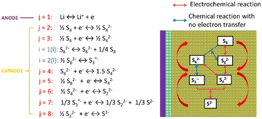 Reaction kinetics of lithium–sulfur batteries with a polar Li-ion ...