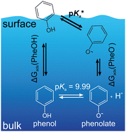 Surface accumulation and acid–base equilibrium of phenol at the liquid ...