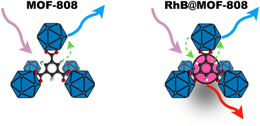 Unveiling MOF-808 photocycle and its interaction with luminescent ...