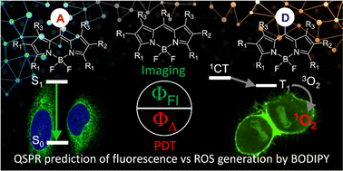 Predicting fluorescence to singlet oxygen generation quantum yield ...