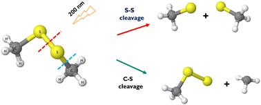 Excited state electronic structure of dimethyl disulfide involved in ...