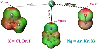 From weak to strong interactions between halogen and noble gas atoms in ...