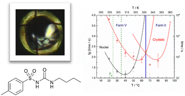 Nucleation, crystal growth, nuclei stability, and polymorph selection ...