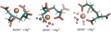 Role of EDTA protonation in chelation-based removal of mercury ions ...