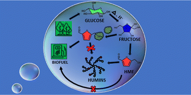 Computational insights into selective glucose to 5 ...