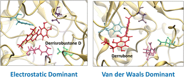 The potentiality of isoflavones from Derris robusta (DC.) Benth ...