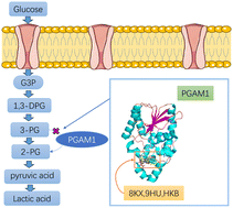 Accelerated molecular dynamics study of the interaction mechanism ...
