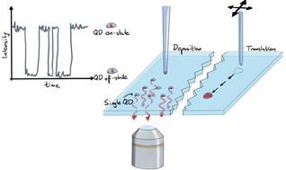 Controlled encapsulation of colloidal semiconductor quantum dots in a ...
