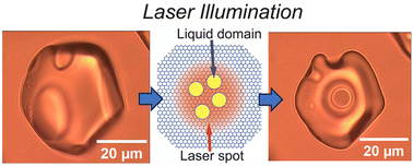 Laser-induced fabrication of a supercooled liquid droplet embedded in ...