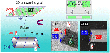 Crystallographic models of ribbons and ribbon-based J-aggregate ...