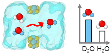 Data-driven molecular dynamics simulation of water isotope separation ...