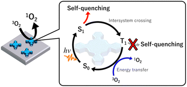 Effect of excited state self-quenching on singlet oxygen ...