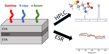 Investigating dose rate effects and reactive species formation in ...