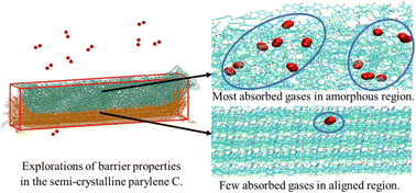 Molecular dynamics exploration of the barrier properties of small gas ...
