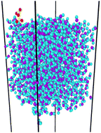 Kinetic processes of interfacial transport of reactive species across ...