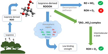 Decomposition pathways of isoprene-derived hydrotrioxides and their ...