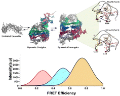 Emergence of a dynamic G-tetraplex scaffold: uncovering low salt ...