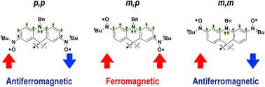 Radical site-dependent exchange interactions in acridane-based ...