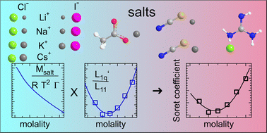 Analyzing the concentration-dependent Soret coefficient minimum in salt ...