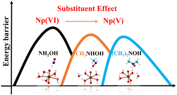 Theoretical study on the kinetic behavior of Np(vi) reduction by ...