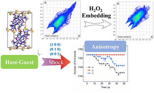 Anisotropic initial reaction mechanism and sensitivity characterization ...