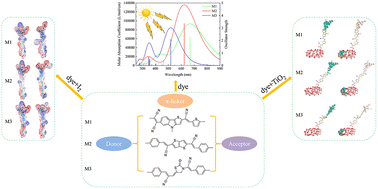 Insights into the sensitization effect and microscopic essence of π ...