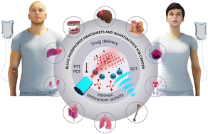 Black phosphorus-based nanoplatforms for cancer therapy: chemistry, design, biological and ...