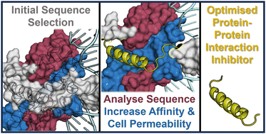 Peptide design to control protein–protein interactions - Chemical ...
