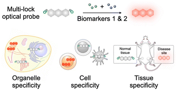 Enzyme-responsive, multi-lock optical probes for molecular imaging and ...