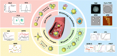 In situ characterization techniques of protein corona around nanomaterials - Chemical Society ...