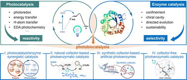 Bridging chemistry and biology for light-driven new-to-nature ...