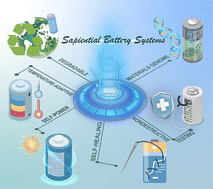 Sapiential battery systems: beyond traditional electrochemical energy ...