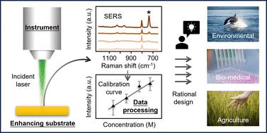 A practical approach to quantitative analytical surface-enhanced Raman ...