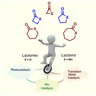 Synthesis of lactones and lactams via C(sp3)–H bond functionalization ...