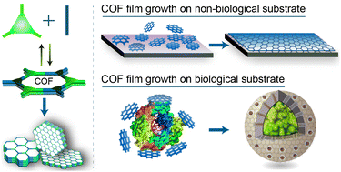Synthesis innovations for crystallizing covalent organic framework thin ...