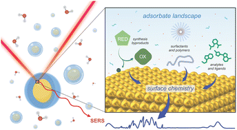 A surface chemistry perspective on SERS: revisiting the basics to push ...