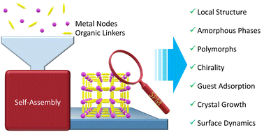 Scanning probe microscopy of metal–organic coordination systems ...