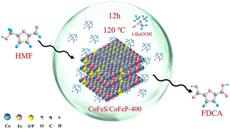 S, P modified CoFe-LDH derived CoFeS and CoFeP-400 catalysts ...