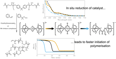 Activation of alkyl hydroperoxides by manganese complexes of tmtacn for ...