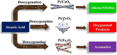 Catalytic deoxygenation of stearic acid into olefins over Pt catalysts ...