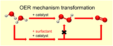 Blocking the bimolecular pathway of water oxidation electrocatalyzed by ...