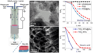 Au nanoparticle decoration of nanoparticular and nanotubular TiO2 using ...