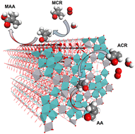 Role of the heptagonal channel of crystalline Mo3VOx catalyst for the ...