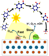 Synergistic combination of active Pt species and light-driven ...