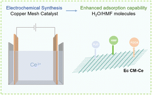 Electrochemically synthesized Ce-doped Cu-mesh catalyst with high ...