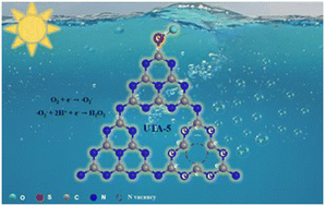 Dual defect sites at g-C3N4 synergistically induce the electron ...