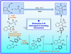 Distinctive C–N cleavage/C–C formation mechanism in Au-catalyzed ...