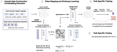 Reprogramming pretrained language models for protein sequence ...