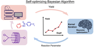 Self-optimizing Bayesian for continuous flow synthesis process ...