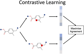 PolyCL: contrastive learning for polymer representation learning via explicit and implicit ...